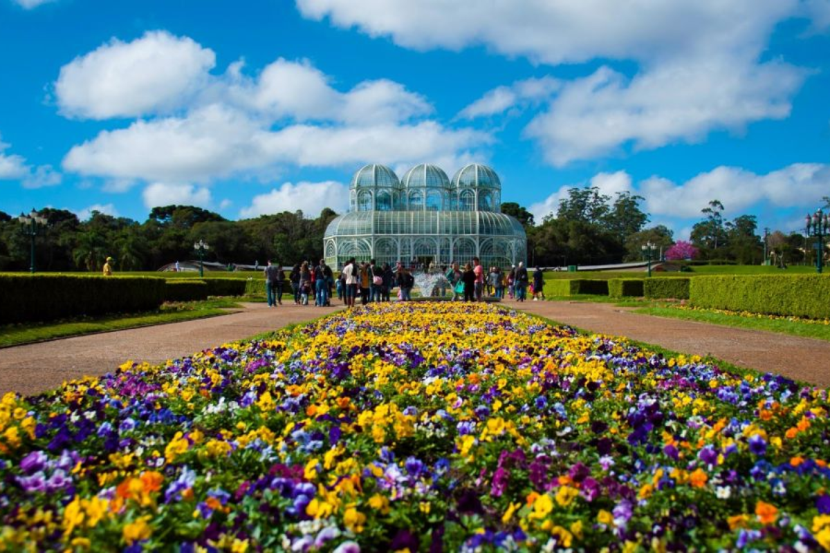 Linha de Turismo em Curitiba: Guia Completo para Explorar a Cidade ...